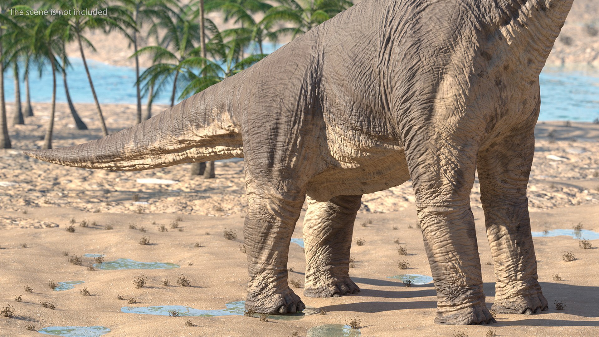 3D Brachiosaurus Standing Pose Model - TurboSquid 1628608