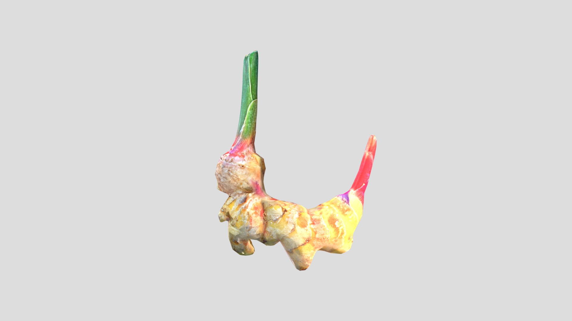 Turmeric Low Poly 3D Model - TurboSquid 2251522
