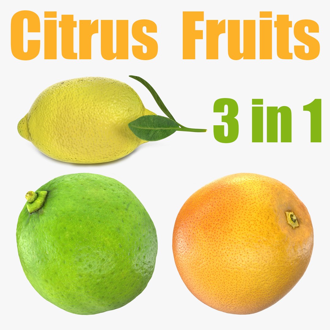 Citrus fruits 3D model - TurboSquid 1226632