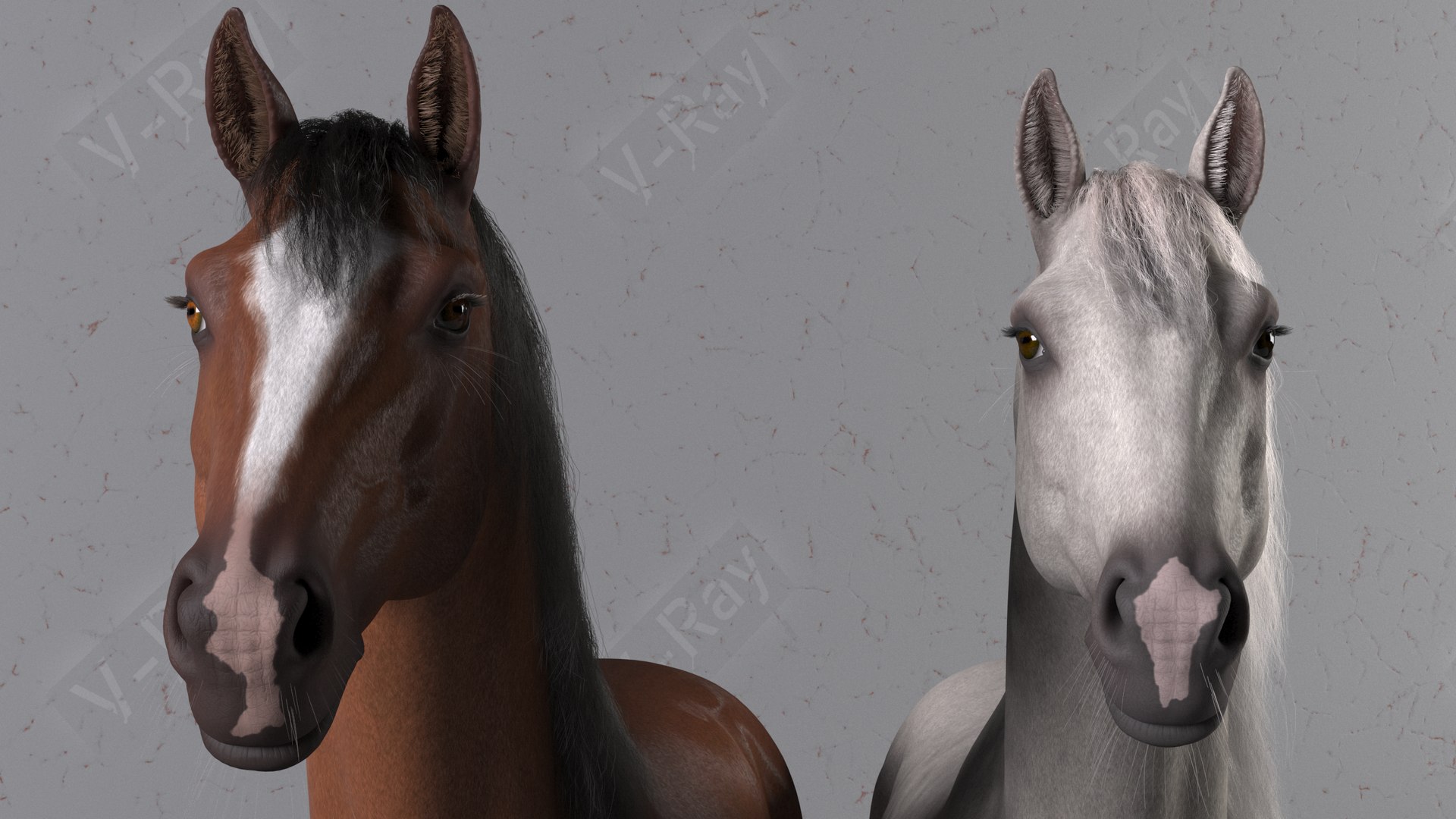 3D Horse High Poly Model - TurboSquid 2080125