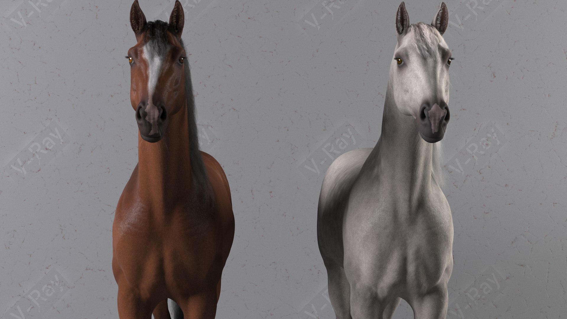 3D Horse High Poly Model - TurboSquid 2080125