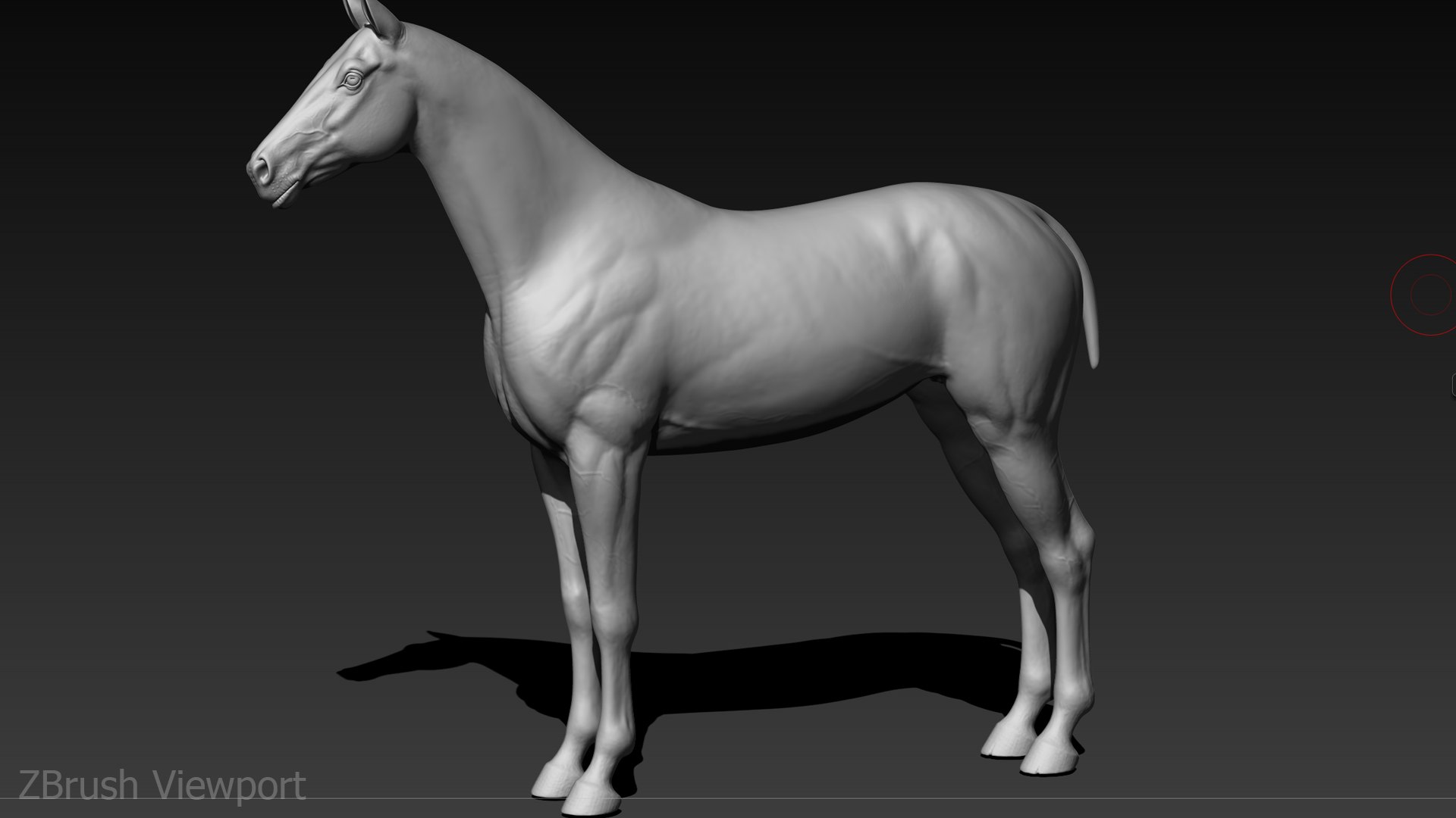 3D Horse High Poly Model - TurboSquid 2080125