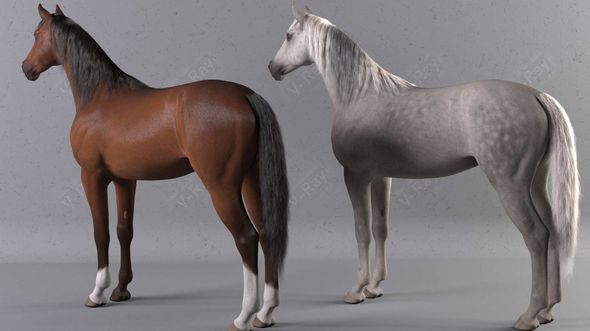 3D Horse High Poly Model - TurboSquid 2080125