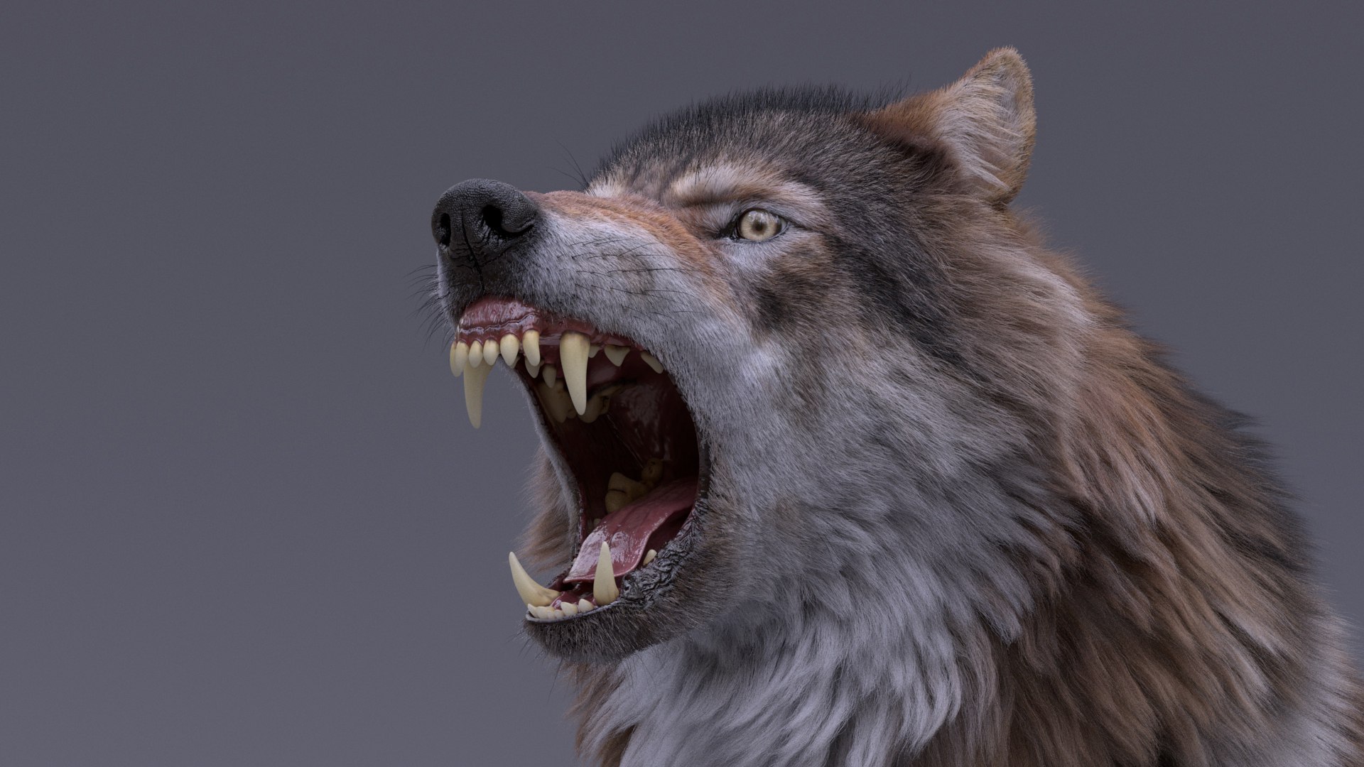 Realistic rigged wolf natural 3D model - TurboSquid 1599098