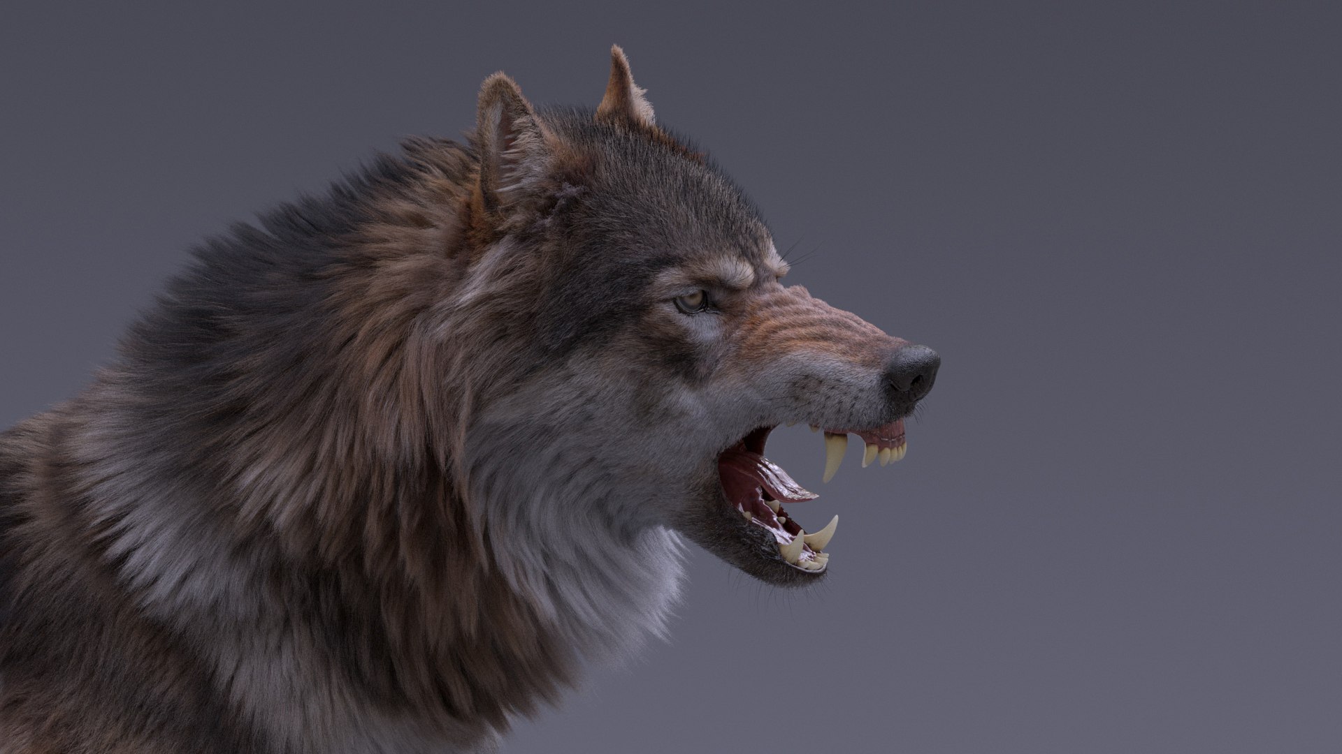 Realistic rigged wolf natural 3D model - TurboSquid 1599098