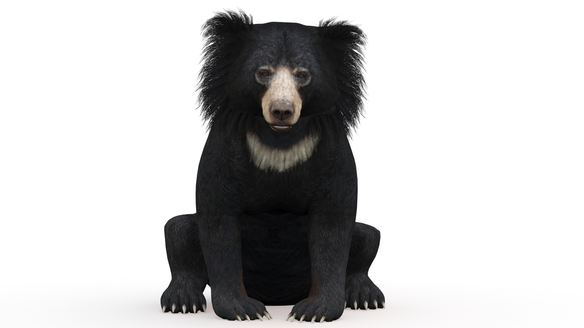 Sloth Bear Animated 2 3D Model - TurboSquid 2050777