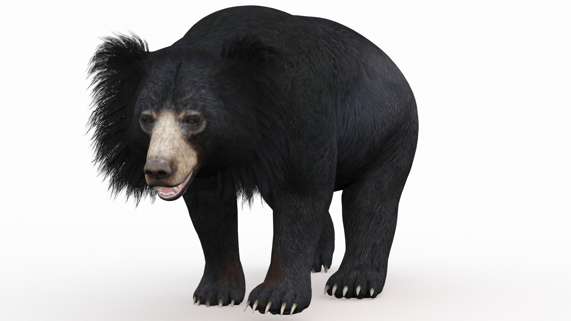 Sloth Bear Animated 2 3D Model - TurboSquid 2050777