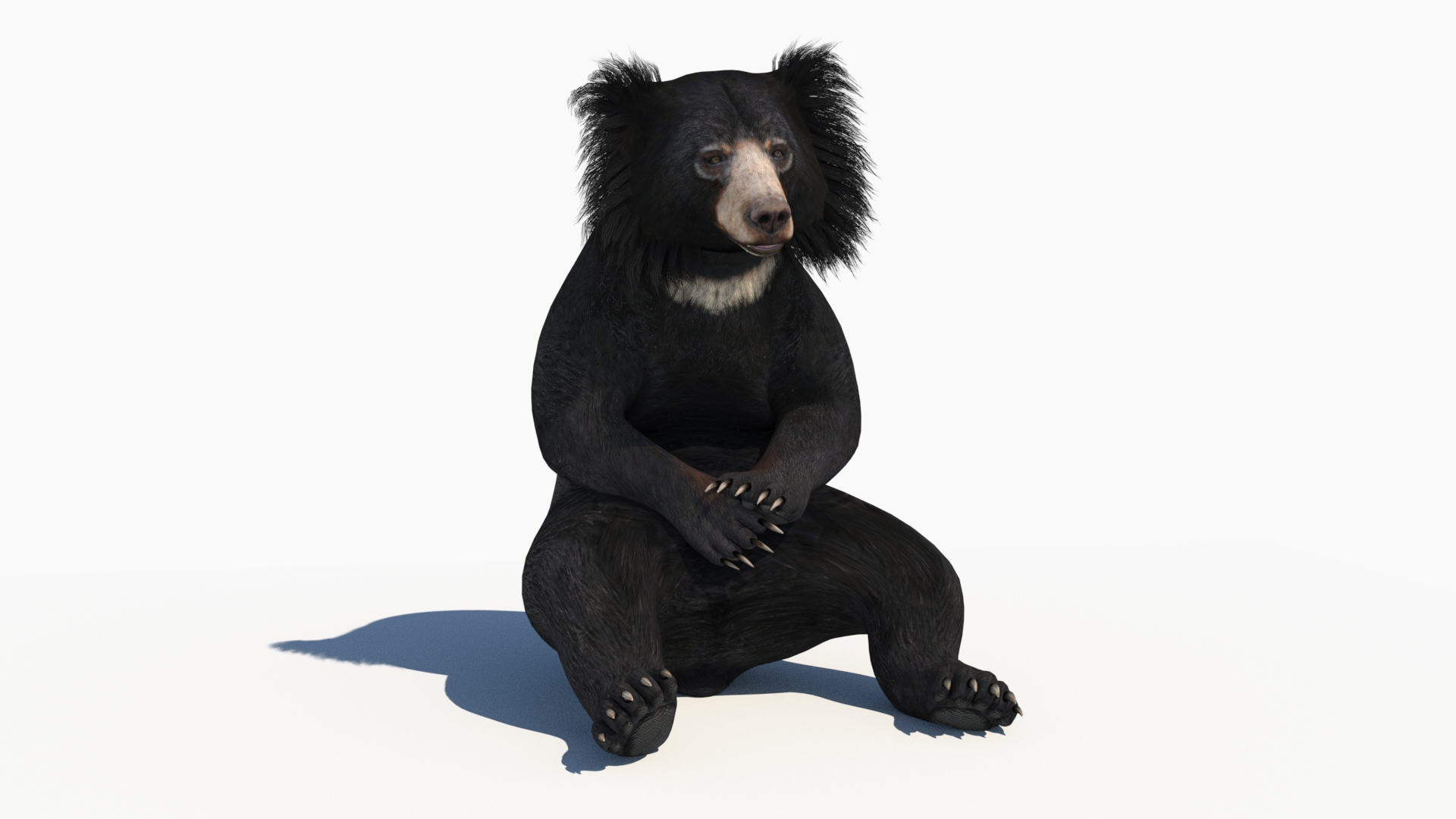 Sloth Bear Animated 2 3D Model - TurboSquid 2050777