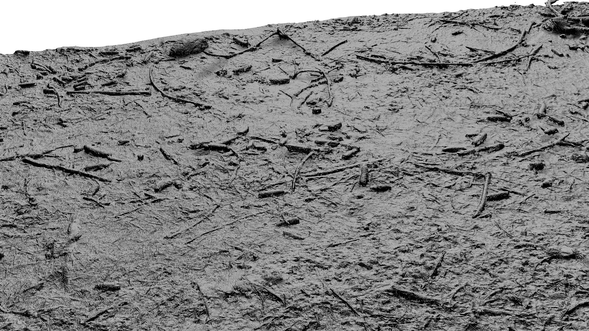 3d Litter Ground Scan Model