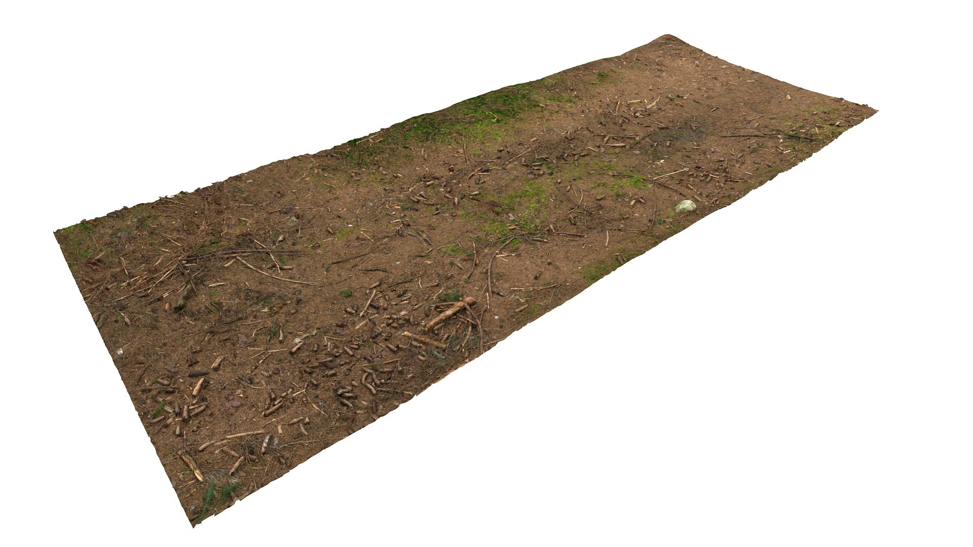 3d Litter Ground Scan Model