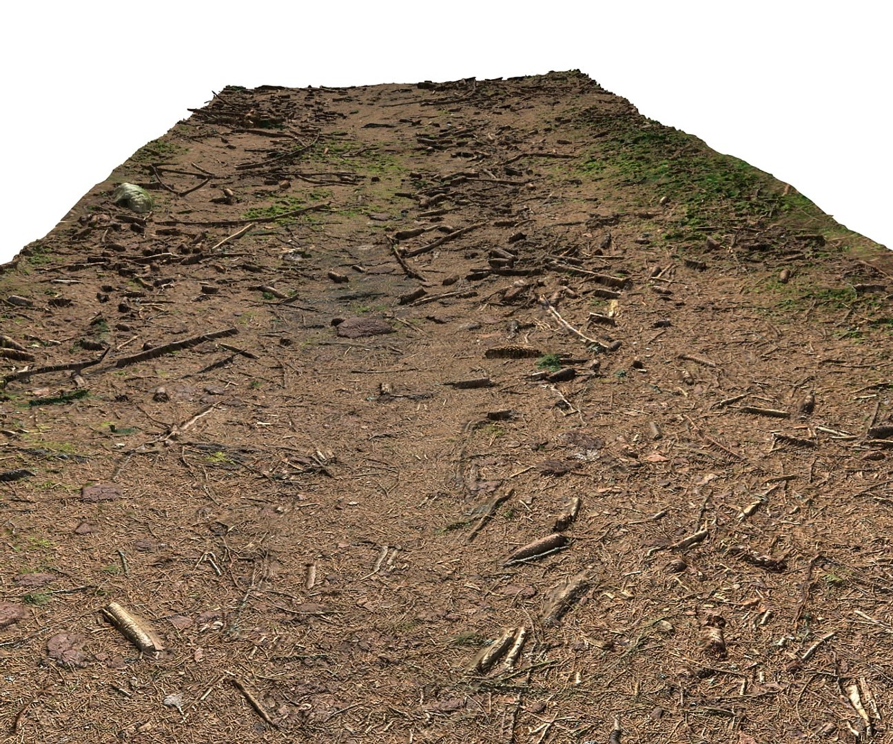 3d Litter Ground Scan Model