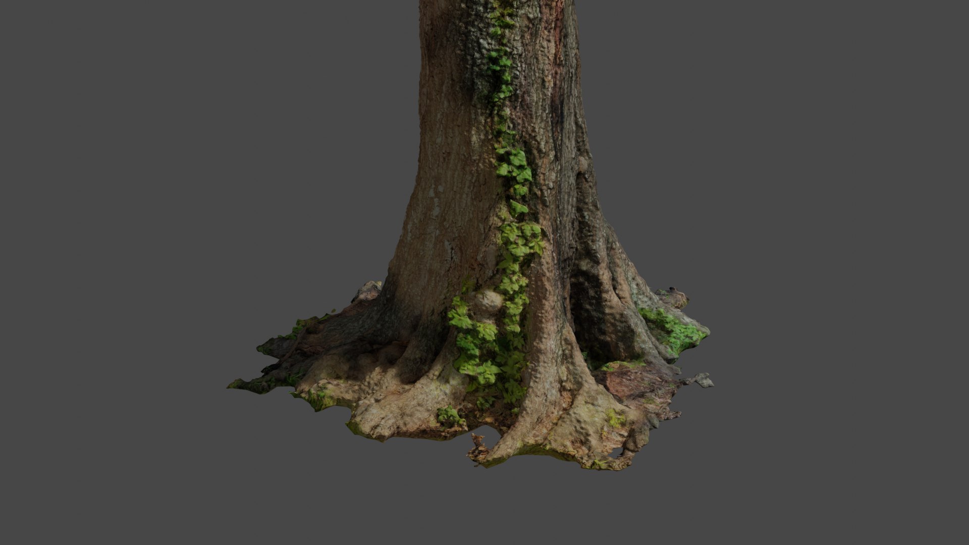 Tree Trunk 3D model - TurboSquid 2120673