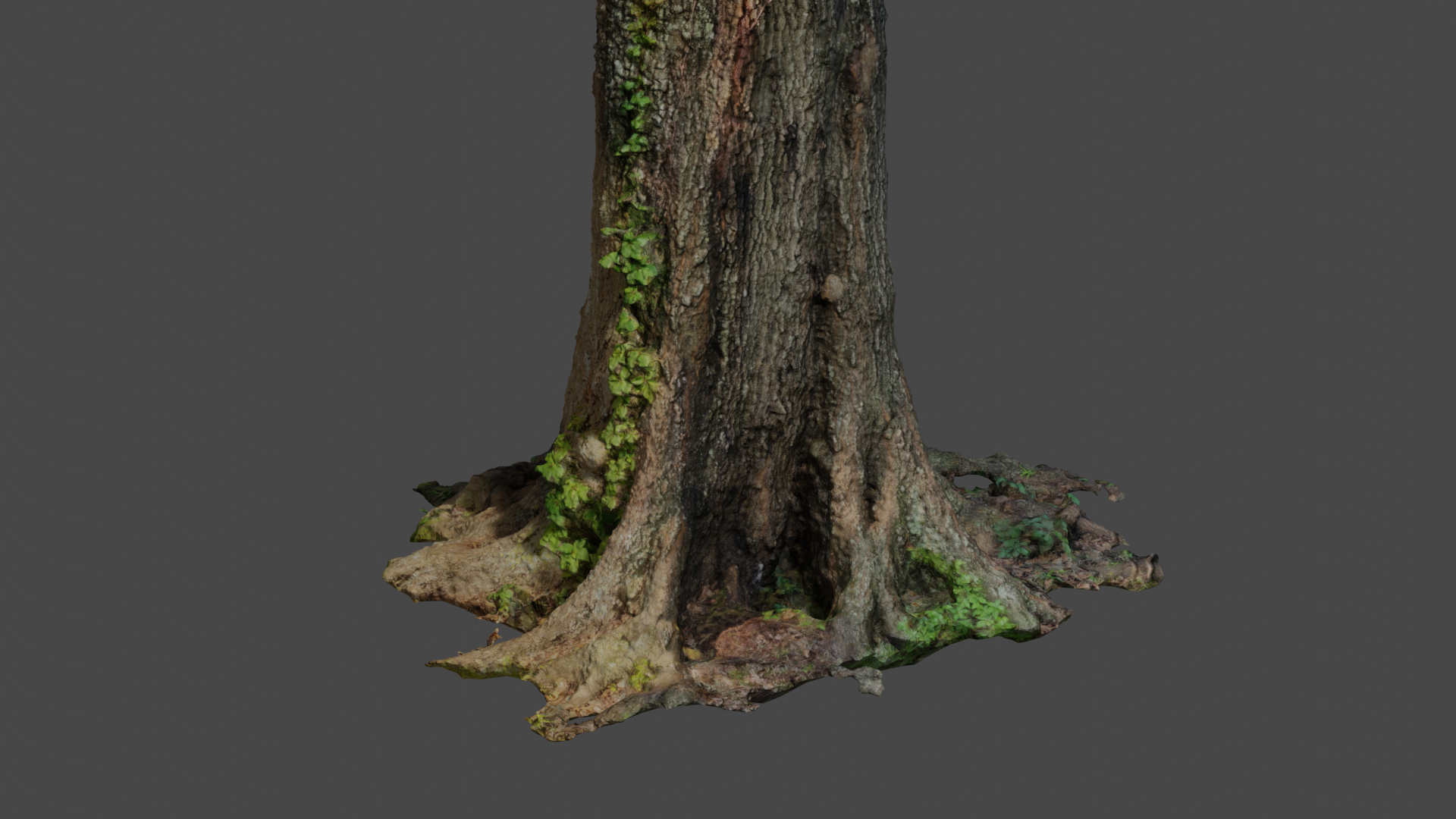Tree Trunk 3D model - TurboSquid 2120673