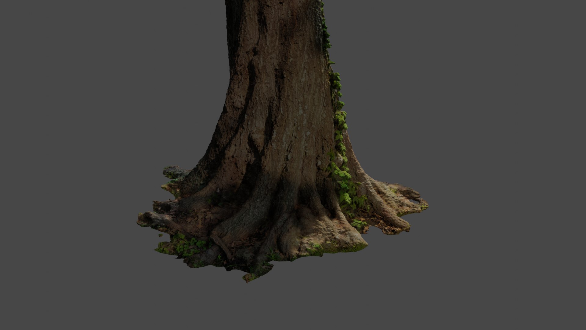 Tree Trunk 3D model - TurboSquid 2120673
