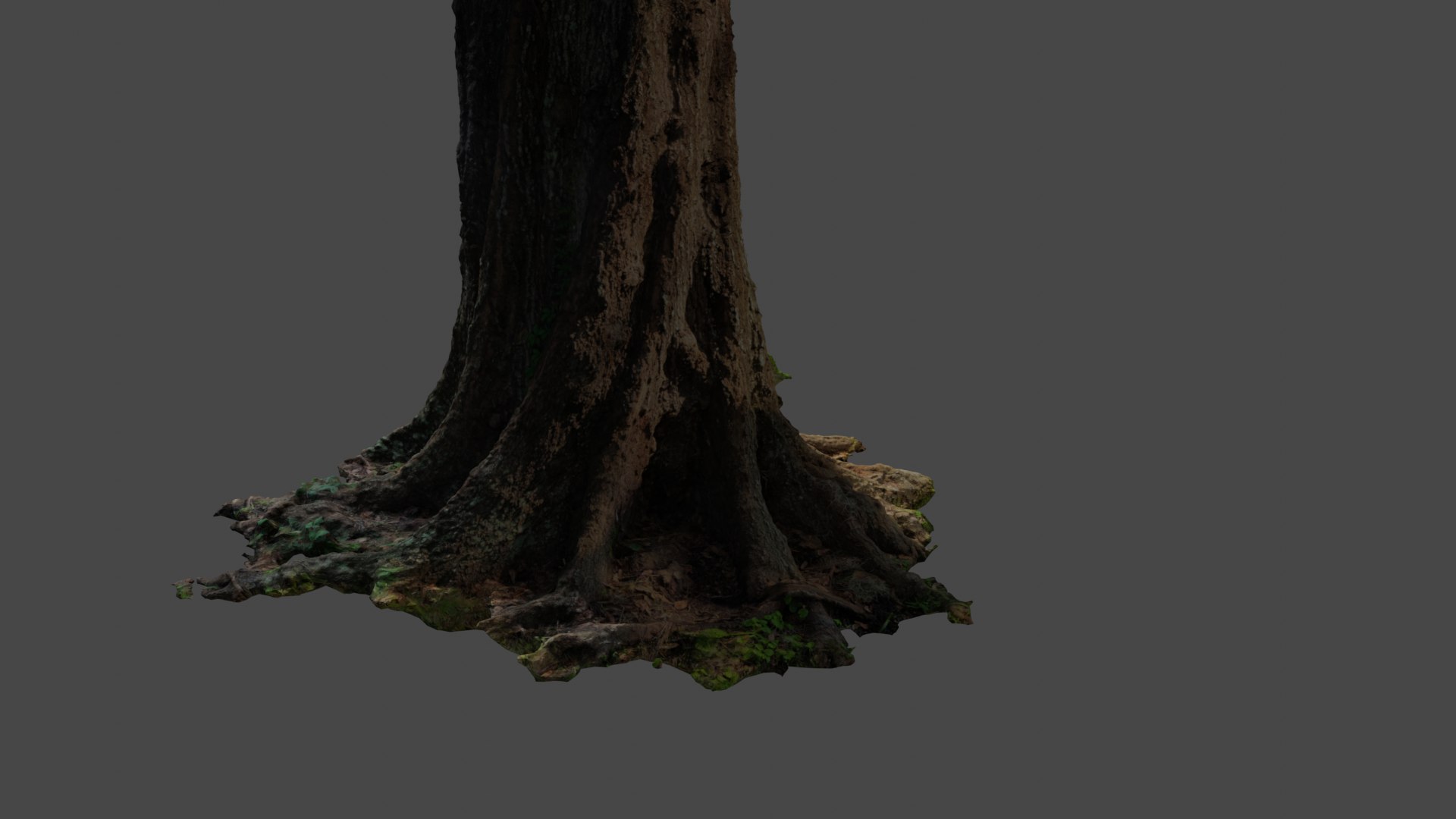 Tree Trunk 3D model - TurboSquid 2120673