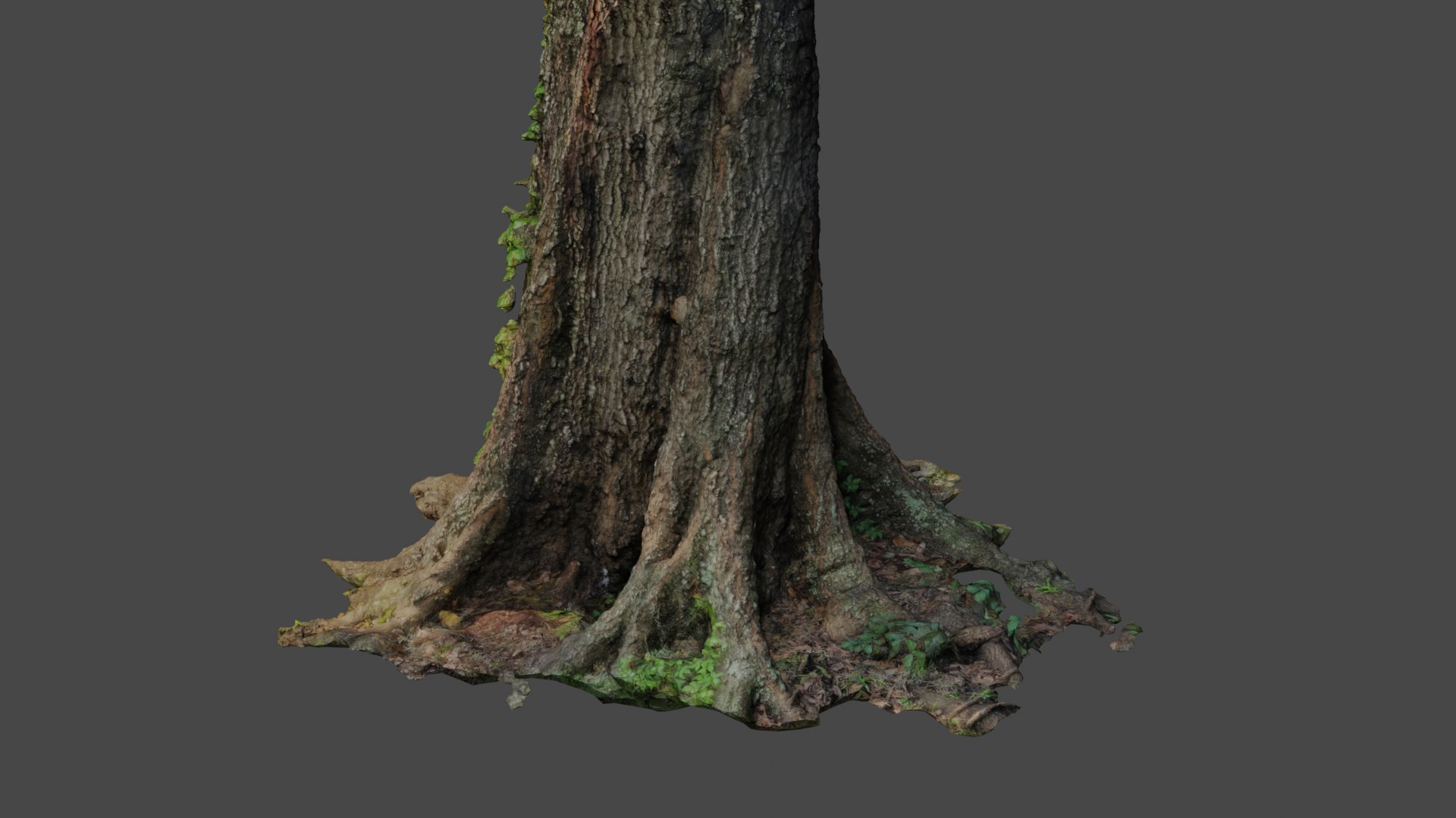Tree Trunk 3D model - TurboSquid 2120673