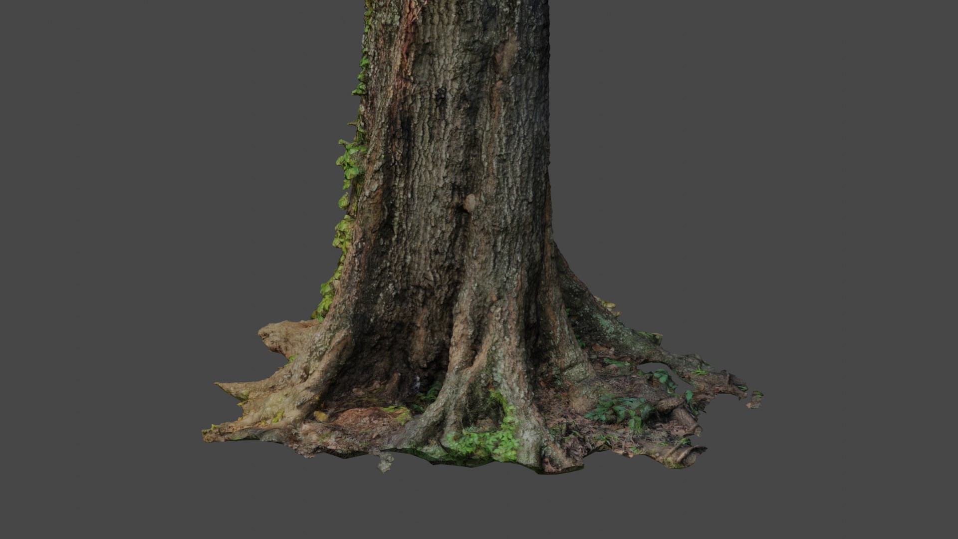 Tree Trunk 3D model - TurboSquid 2120673