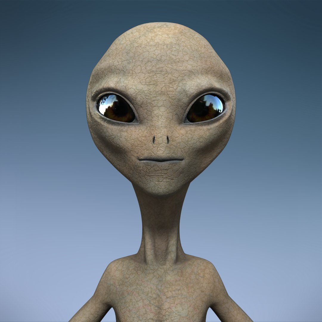 3d Grey Alien Rigged Character