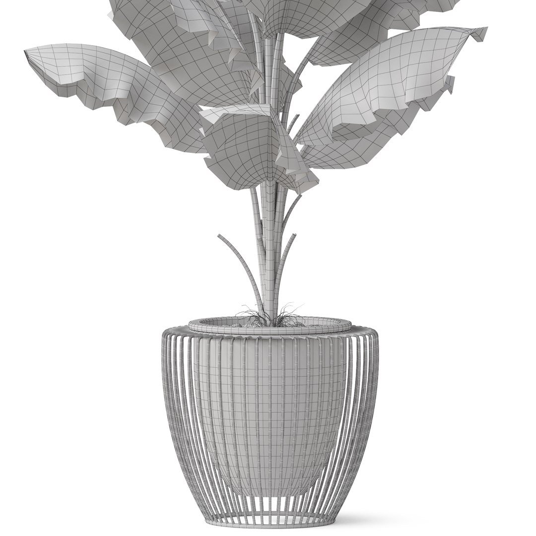 3D Plants Collection 860 - TurboSquid 1996381