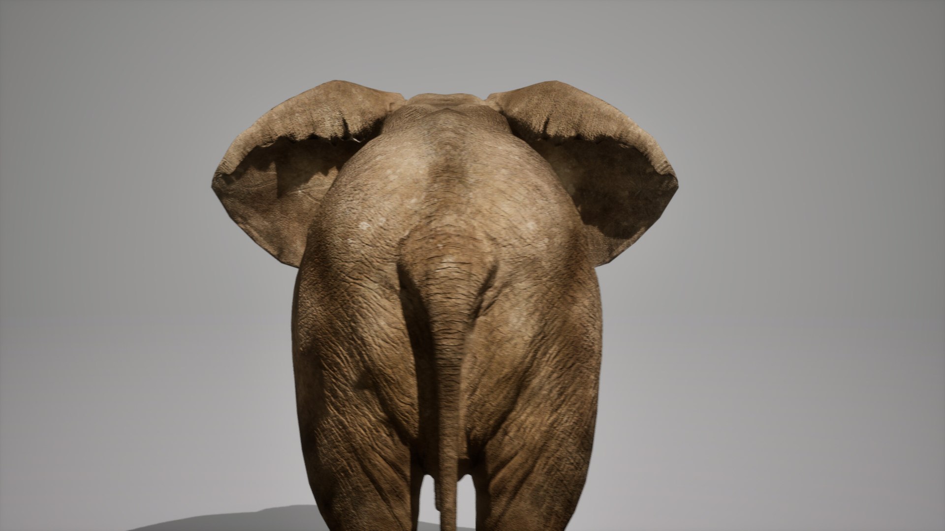African Elephant RIG UNREAL Project 3D - TurboSquid 2293152