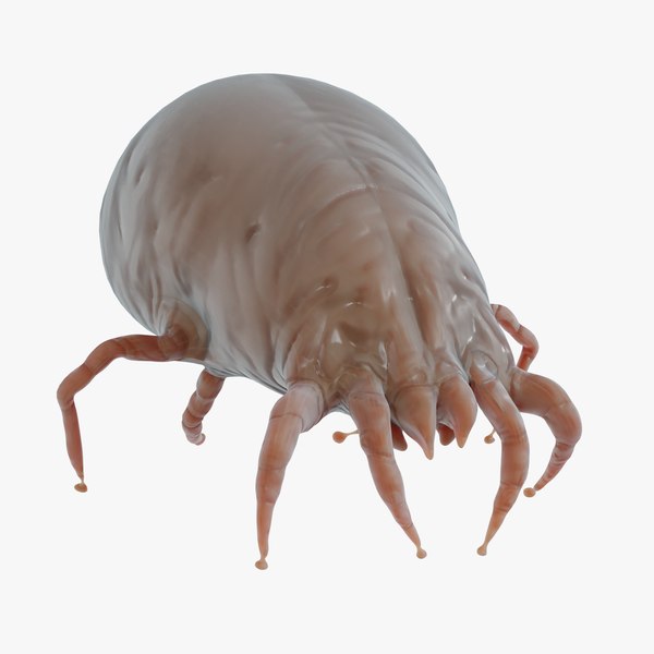 Dust Mite 3D Models for Download | TurboSquid