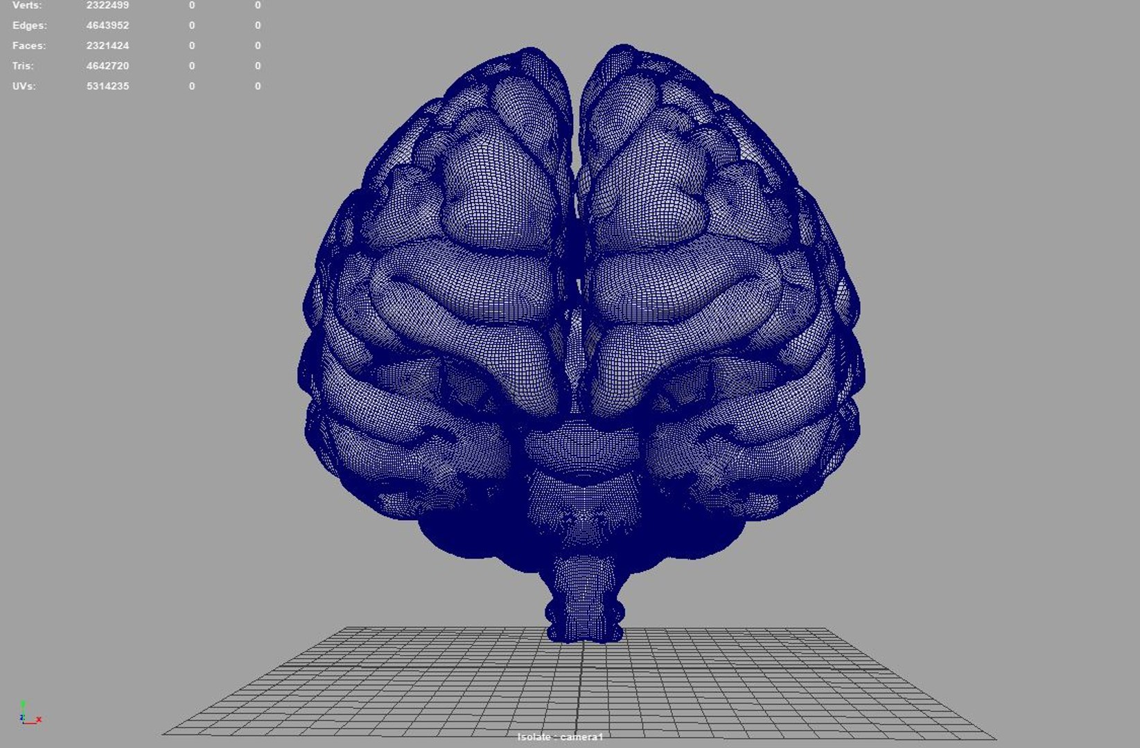3D Model Brain - TurboSquid 1465424