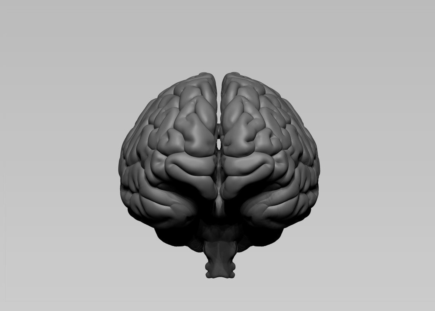 3D Model Brain - TurboSquid 1465424