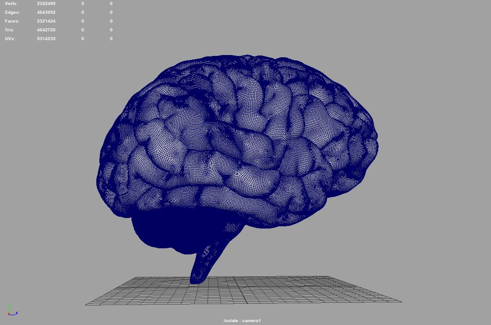 3D Model Brain - TurboSquid 1465424