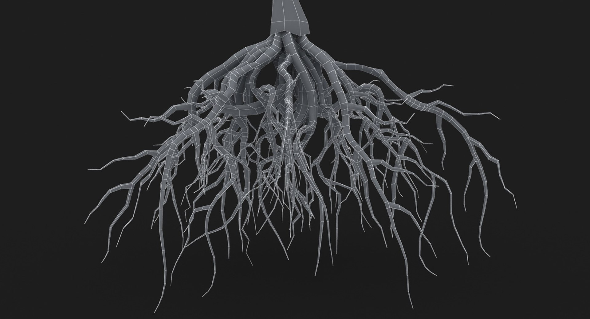 Plant roots model - TurboSquid 1361626