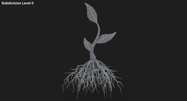 Plant roots model - TurboSquid 1361626