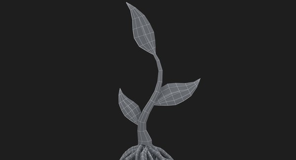 Plant roots model - TurboSquid 1361626