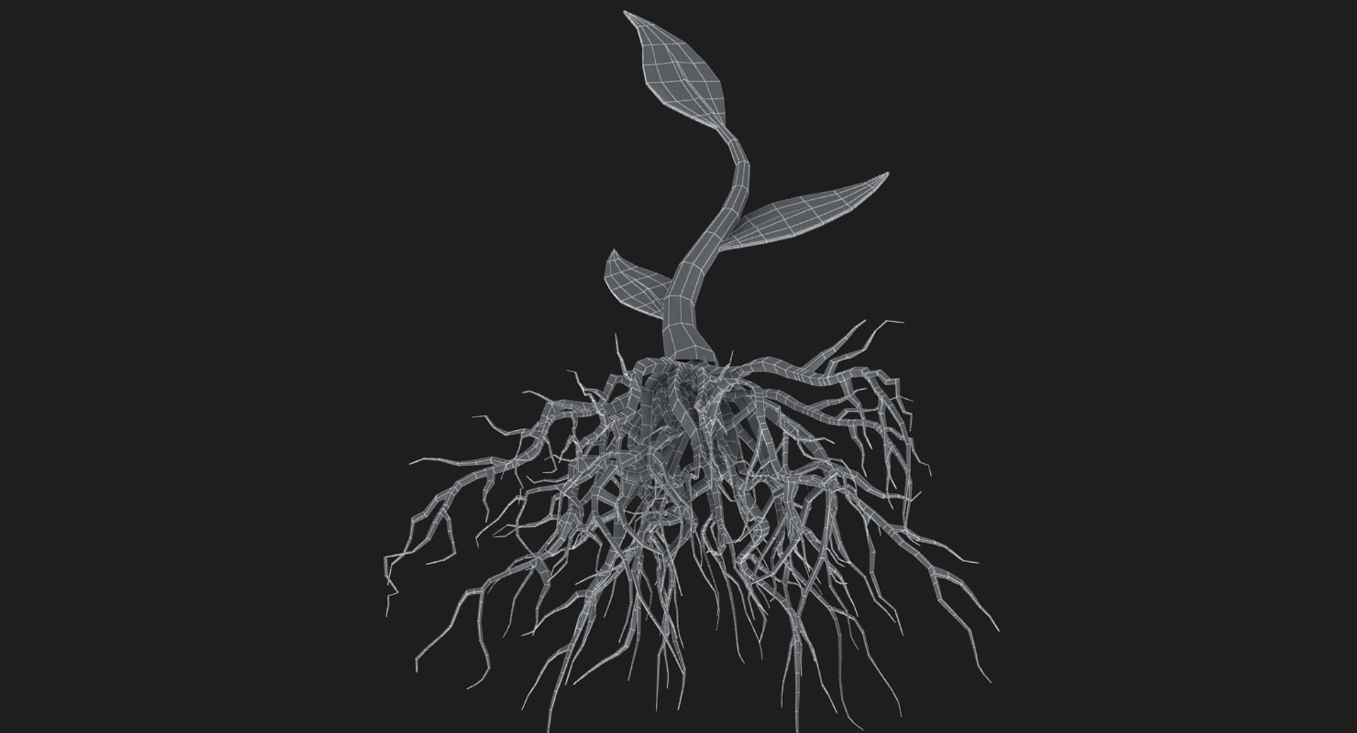 Plant roots model - TurboSquid 1361626