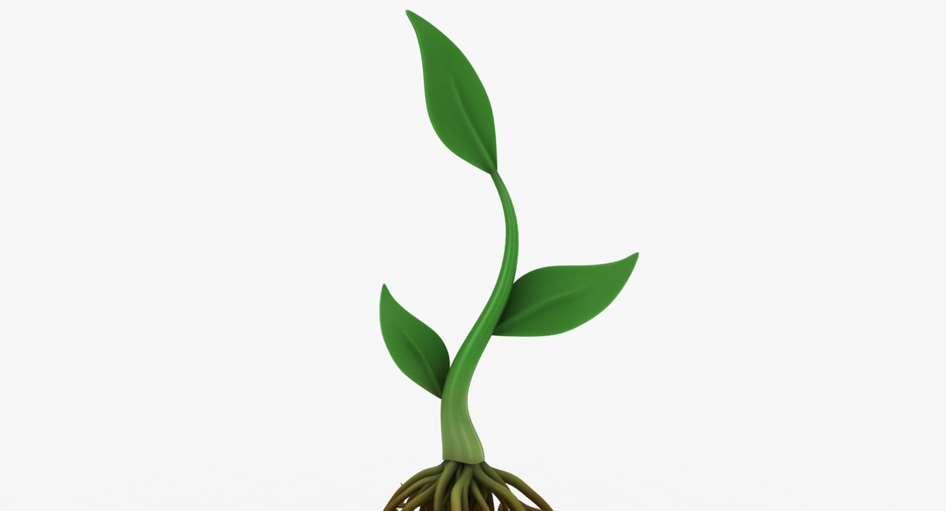 Plant Roots Model - TurboSquid 1361626