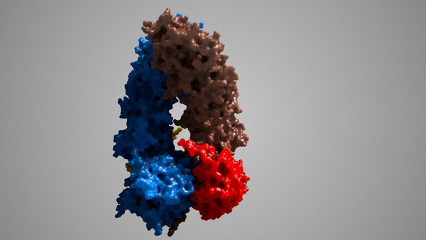 Protein 3D Models for Download | TurboSquid