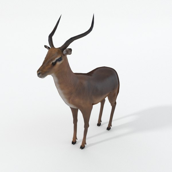 3d model of oryx