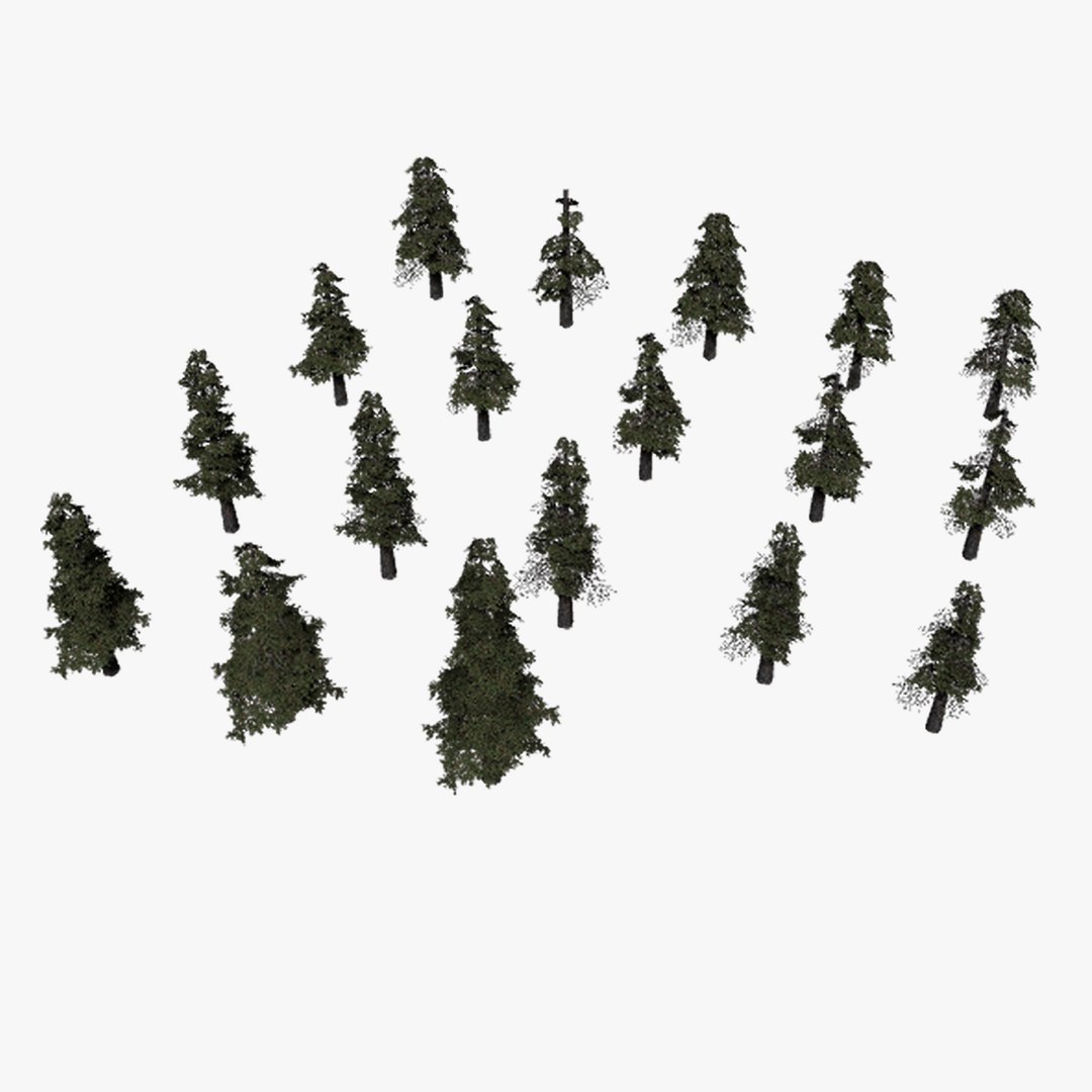 Pine Tree Pinetree 3D Model - TurboSquid 1615085