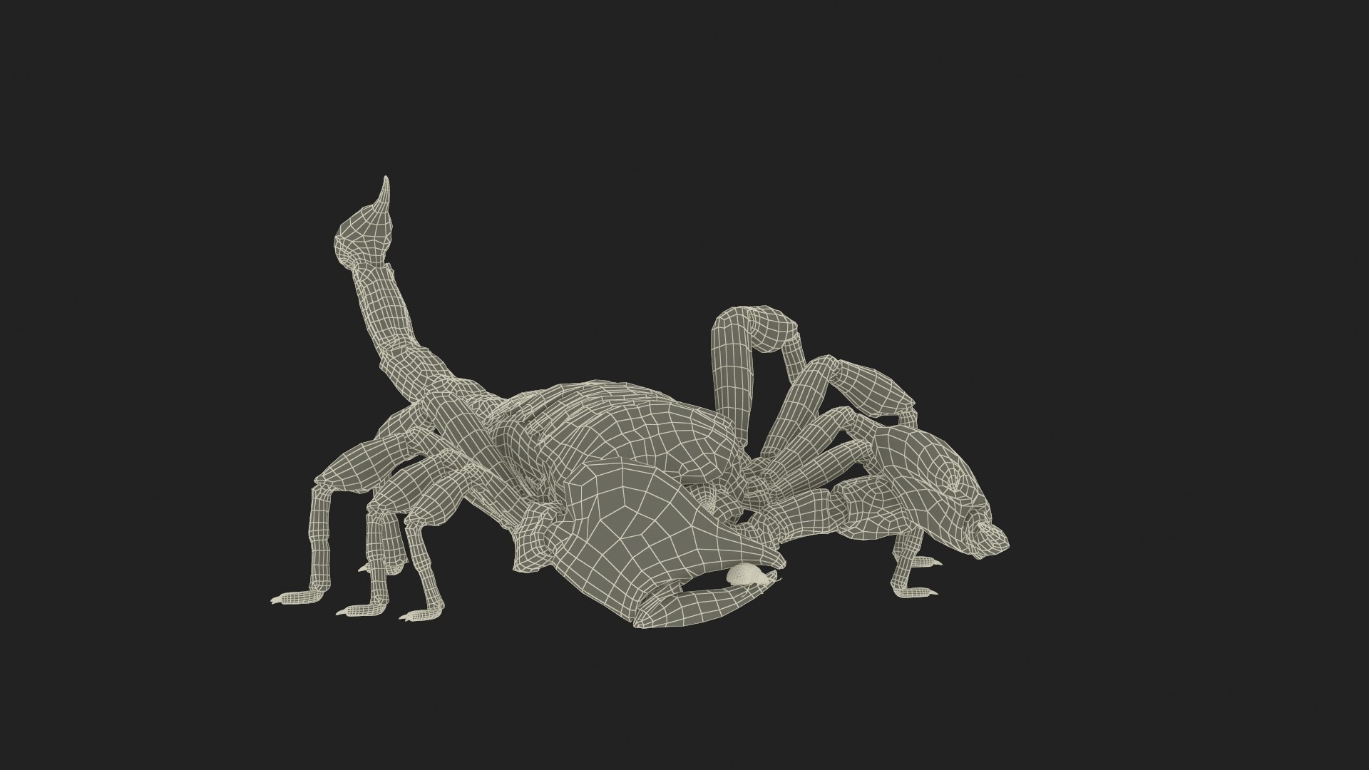 Hunting Scorpion Fur Animated Rigged 3D Model - TurboSquid 2407504