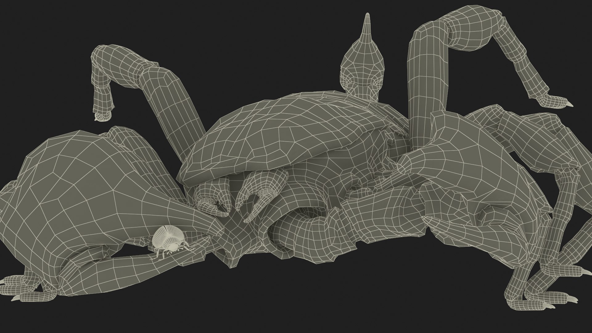 Hunting Scorpion Fur Animated Rigged 3D Model - TurboSquid 2407504