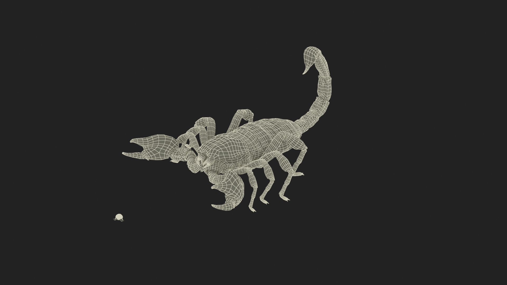 Hunting Scorpion Fur Animated Rigged 3D Model - TurboSquid 2407504