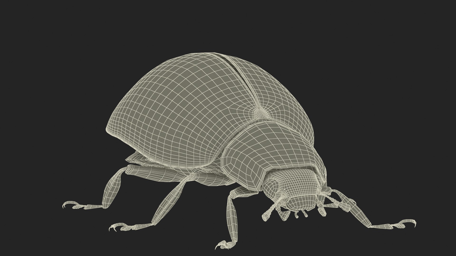 Hunting Scorpion Fur Animated Rigged 3D Model - TurboSquid 2407504