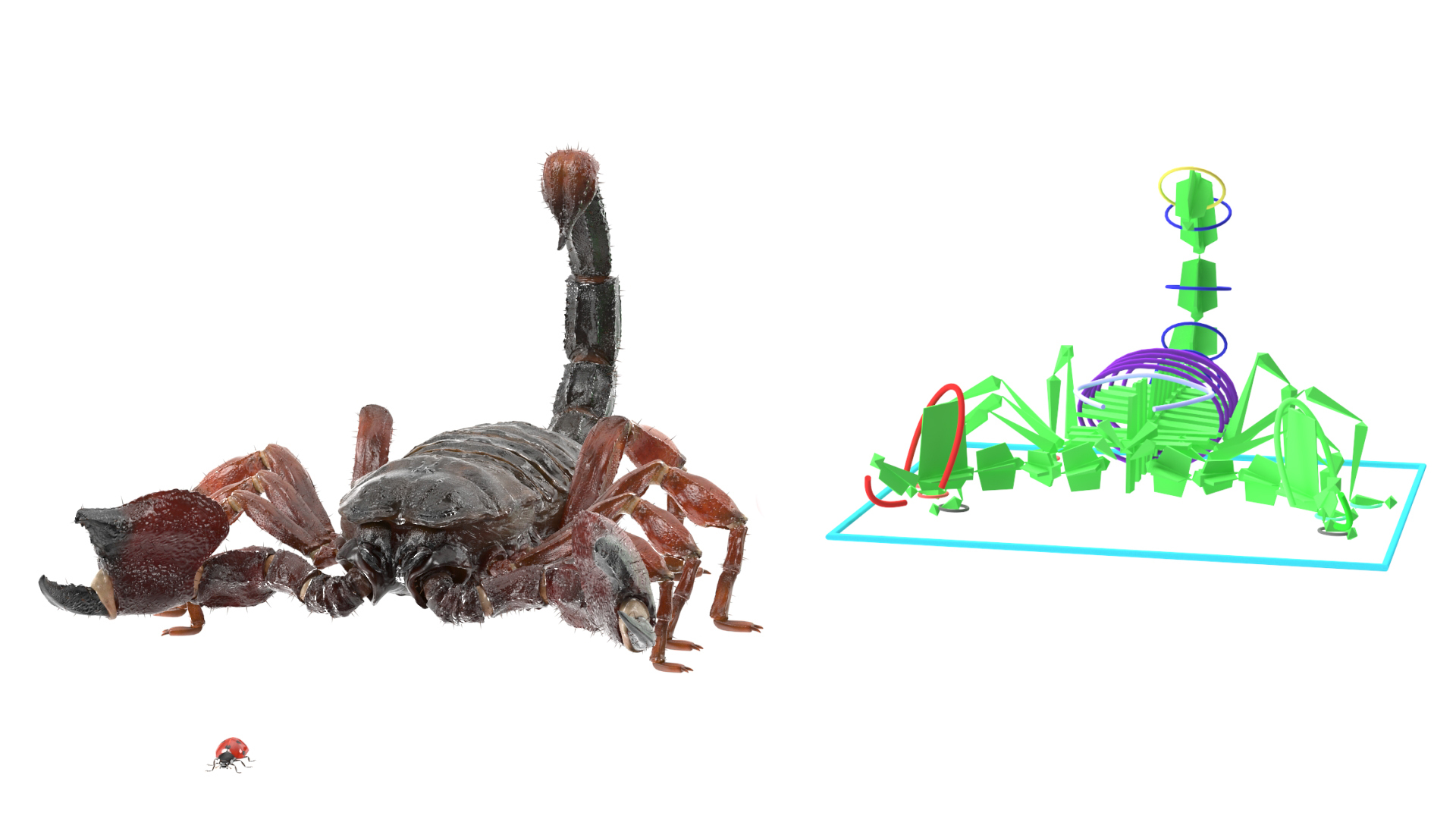 Hunting Scorpion Fur Animated Rigged 3D Model - TurboSquid 2407504
