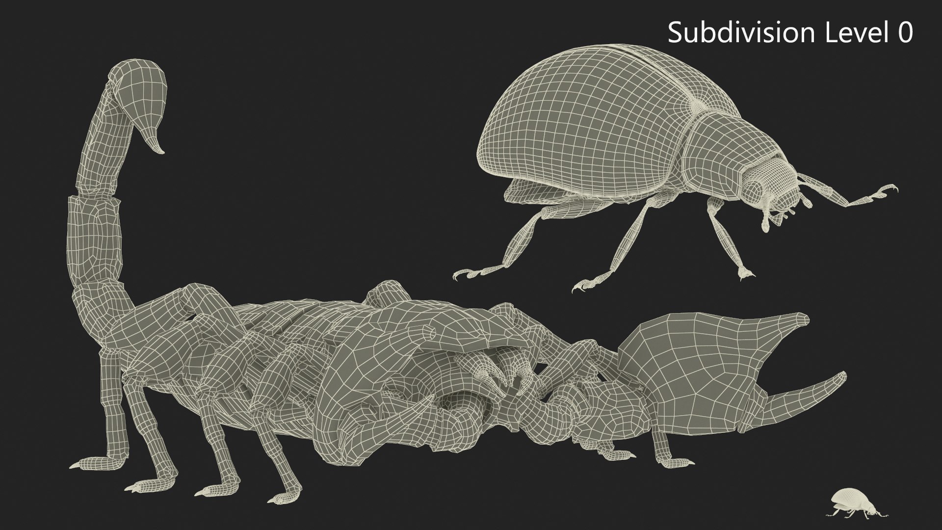 Hunting Scorpion Fur Animated Rigged 3D Model - TurboSquid 2407504