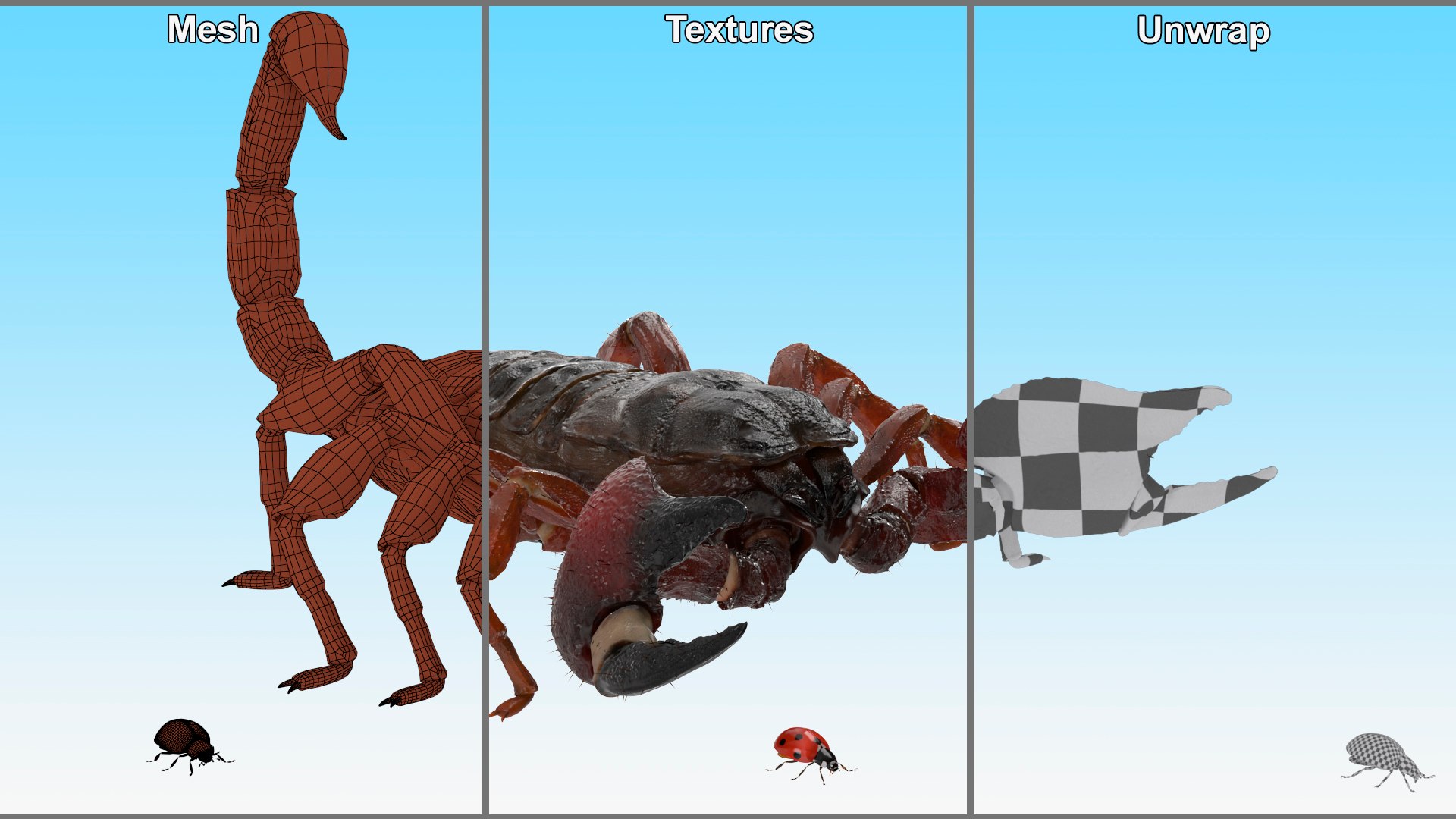Hunting Scorpion Fur Animated Rigged 3D Model - TurboSquid 2407504