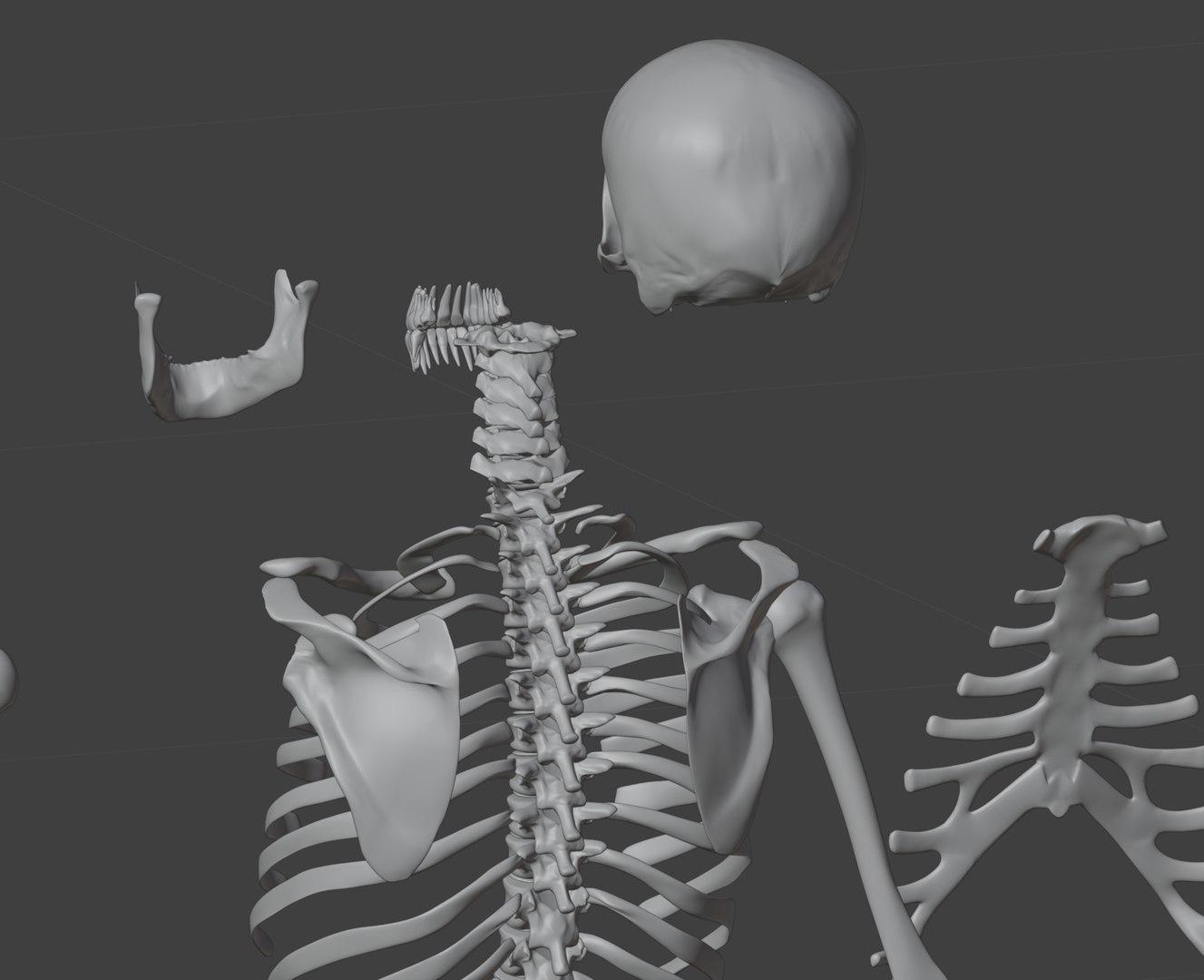 Skeleton All Parts With Names 3D Model - TurboSquid 2290649