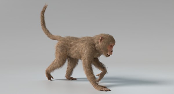 3D monkey animations - TurboSquid 1384680