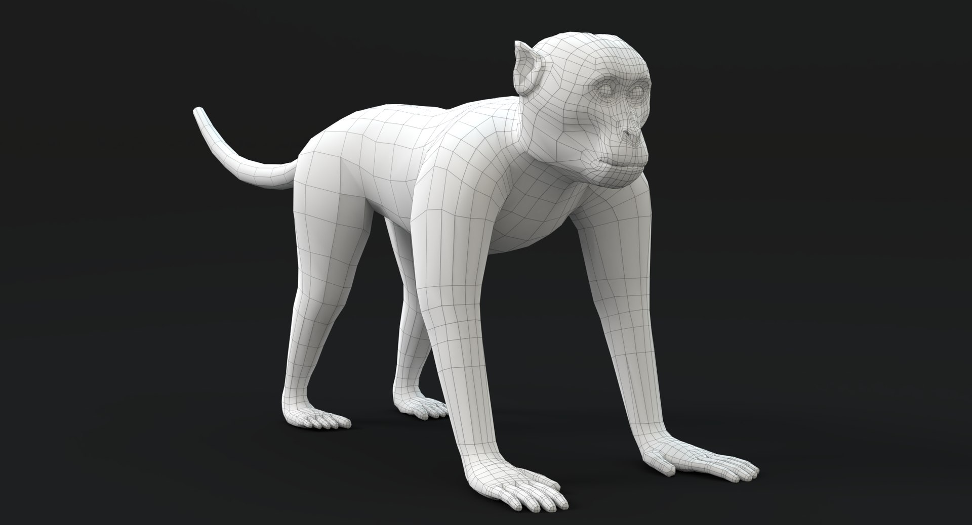 3D Monkey Animations - TurboSquid 1384680