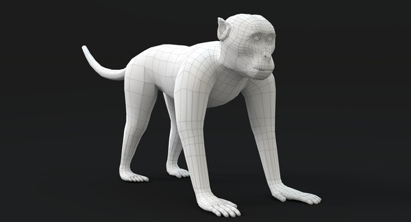 3D monkey animations - TurboSquid 1384680