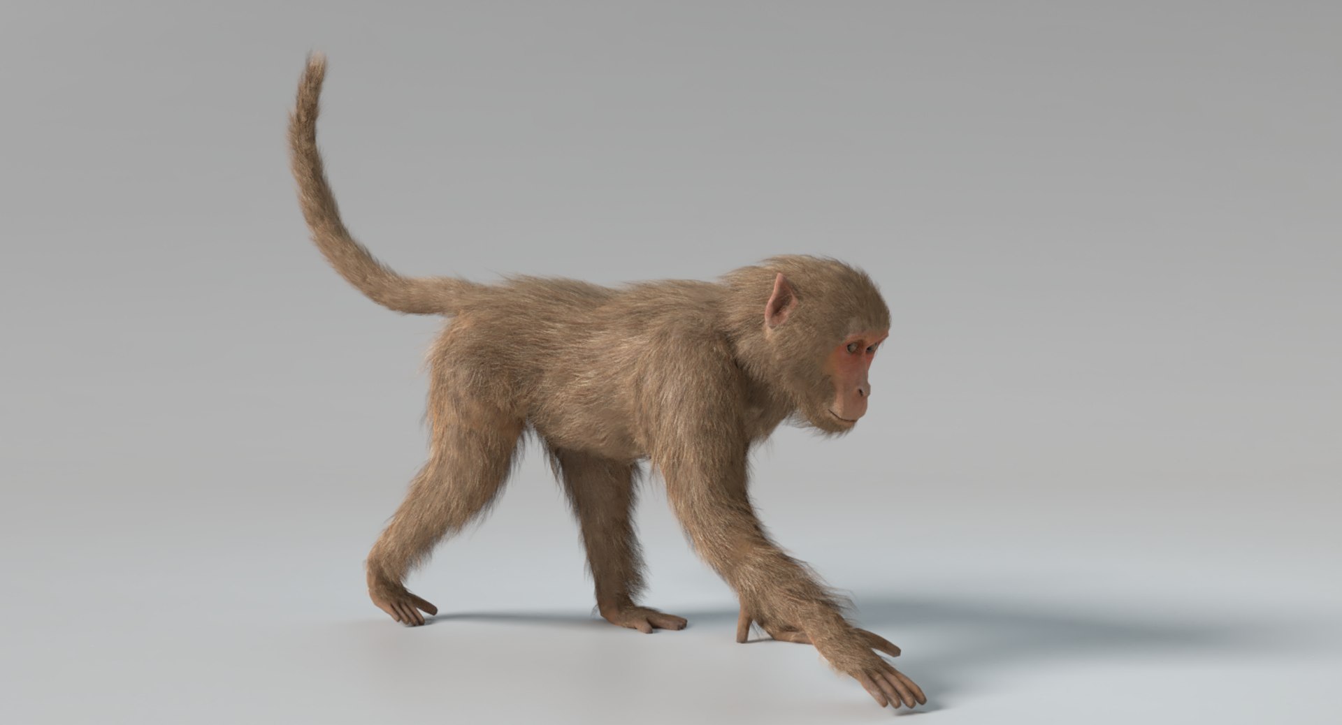 3D Monkey Animations - TurboSquid 1384680