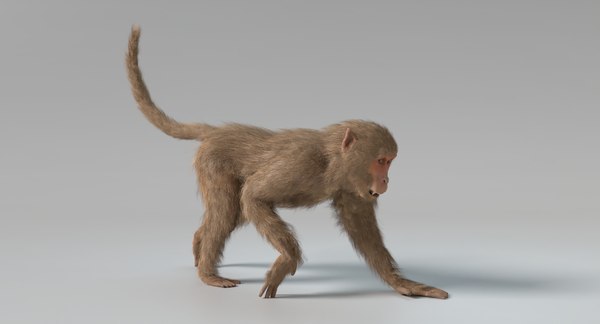 3D monkey animations - TurboSquid 1384680