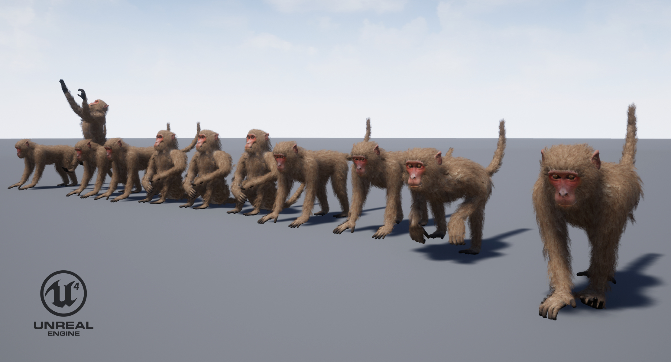 3D monkey animations - TurboSquid 1384680